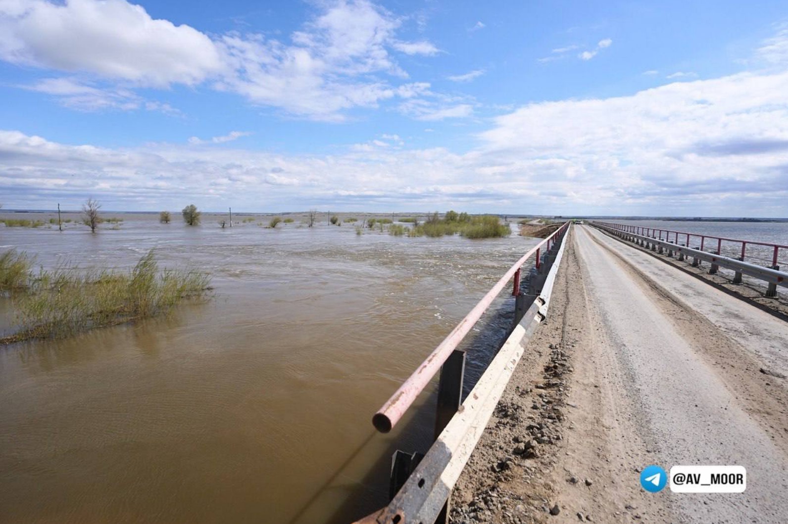 Фото: Александр Моор