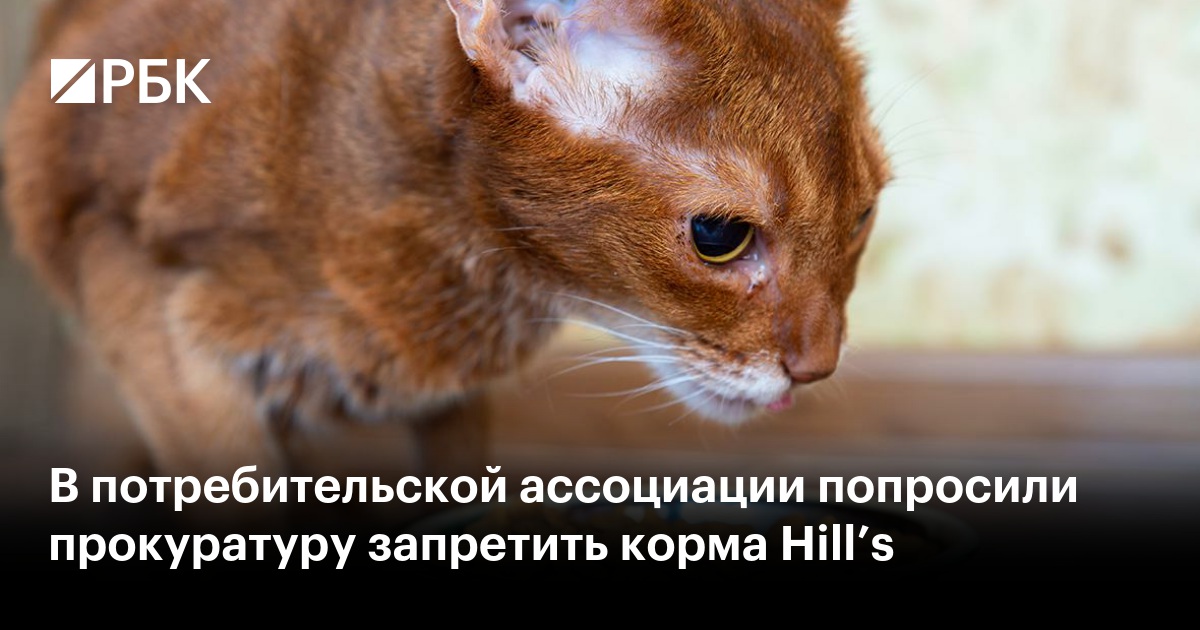 В потребительской ассоциации попросили прокуратуру запретить корма Hill ...