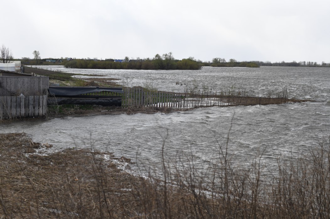 Разрушенный мост и подтопленный дом: в Тюменской области поднимается вода