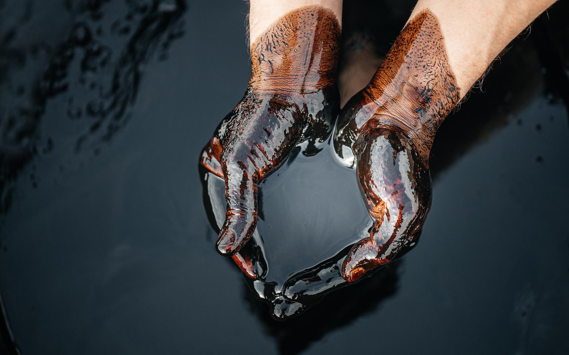 Фото: Shutterstock