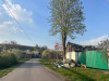 Фото: Мария Лисицына / РБК